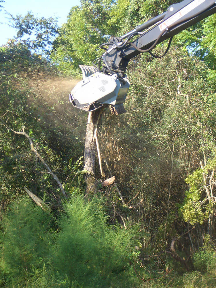 FAE UMM EX VT EXCAVATOR MULCHER | Team Boone | A Global Equipment Provider